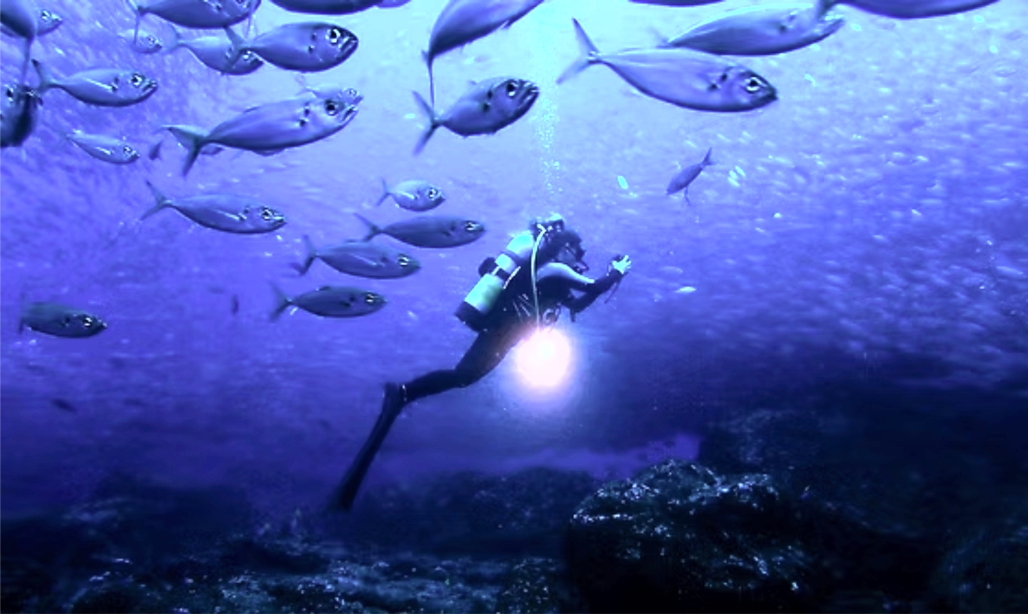 In the world of marine sciences, the name Sylvia Earle resonates as ...